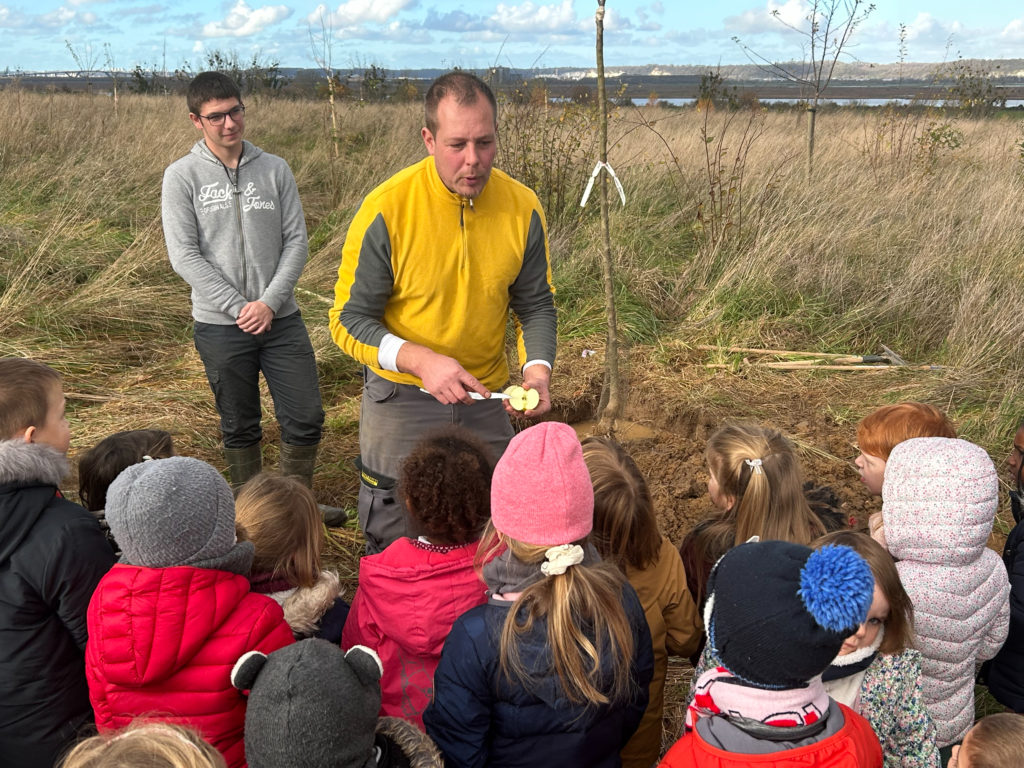 Plantation et distribution de pommiers et poiriers - CDC Pays de ...